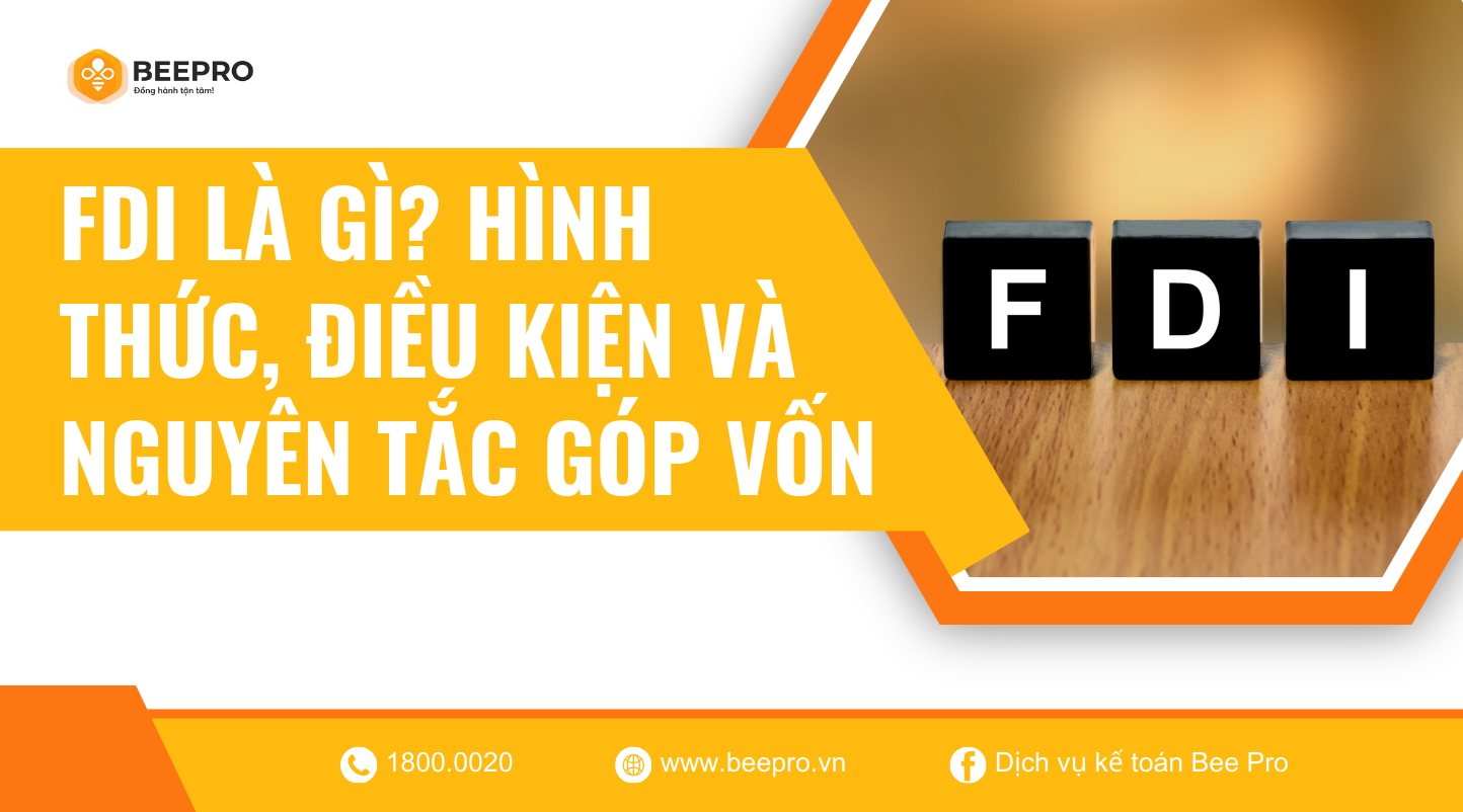 FDI là gì? Các hình thức, điều kiện và nguyên tắc góp vốn FDI - Bee Pro ...